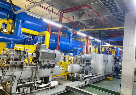 Individual Quick Freezer, Small IQF Freezer-Guangwei